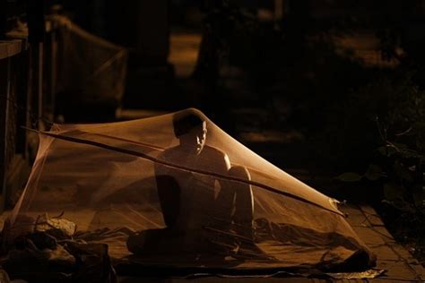 Malaria Cases Dip By 50 Per Cent In 2018 Indicates Success Of Malaria Eradication Programme In