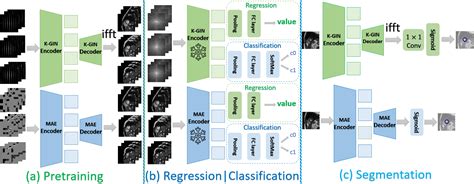 Direct Cardiac Segmentation From Undersampled K Space Using