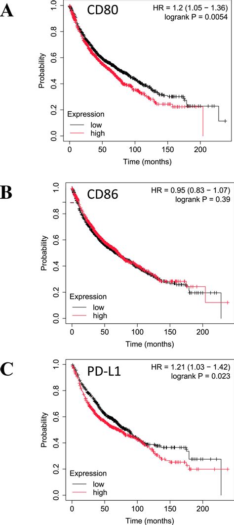 Immunolocalization Of Cd80 And Cd86 In Non Small Cell Lung Carcinoma