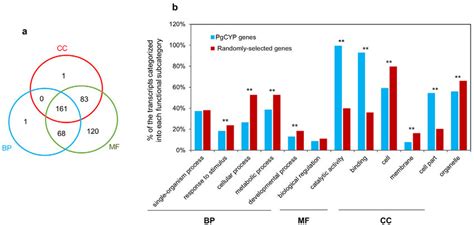 In Silico Functional Categorization And Gene Ontology Go Term Download Scientific Diagram
