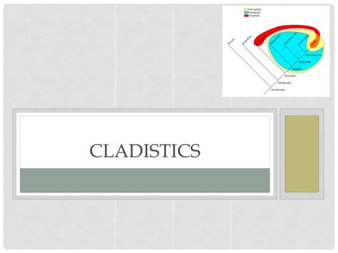 Ppt Cladistics Powerpoint Presentation Free Download Id 2810306
