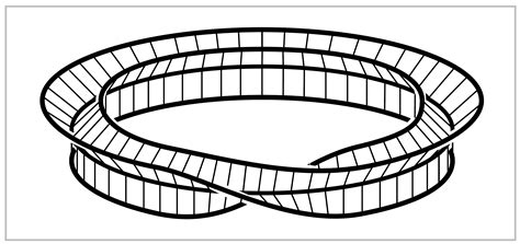 Applications To Cell Complexes — Algebraic Topology