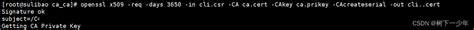 在linux上使用openssl生成ca认证文件并为服务器和客户端颁发ca签名证书linux 生成证书 Csdn博客