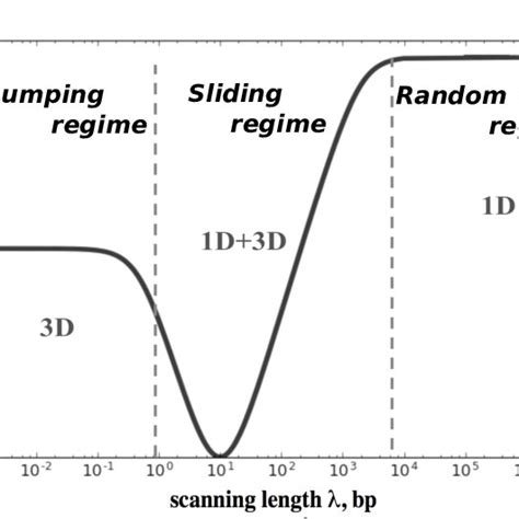 A Discrete State Stochastic Model Of The Protein Search For Multiple Download Scientific