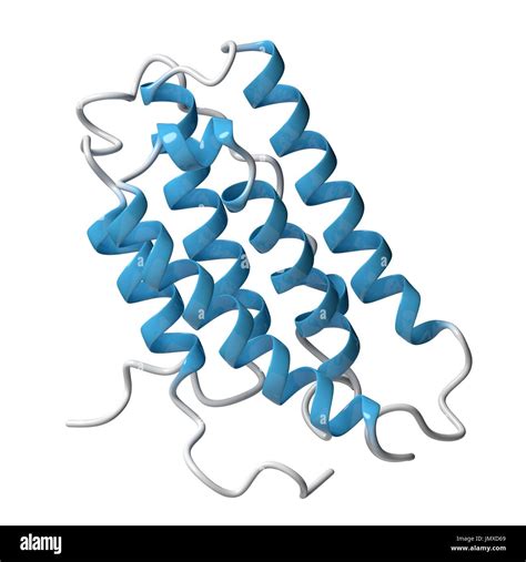 Interferon Alpha 2a Ifna2 Molecule Pegylated Analogues Of This Cytokine Are Used To Treat
