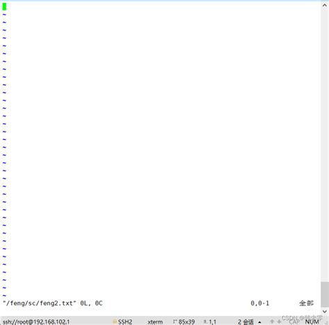 Linux Vim命令和tmux的简单使用vim Tm Csdn博客