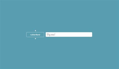 Fancy Animated Input Field Typo Design Web Development Design Text