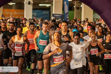 Wellrun 10k 5k 3k 1k