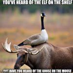 The Goose On The Moose Meme Generator Imgflip