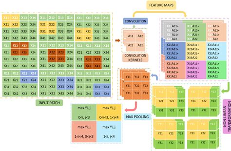 An Example Of Convolutional And Max Pooling Operation In A Download Scientific Diagram