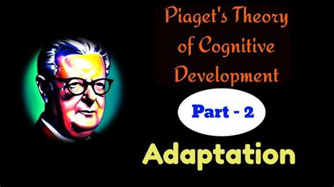 Piagets Theory Of Cognitive Development Part 2 Adaptation