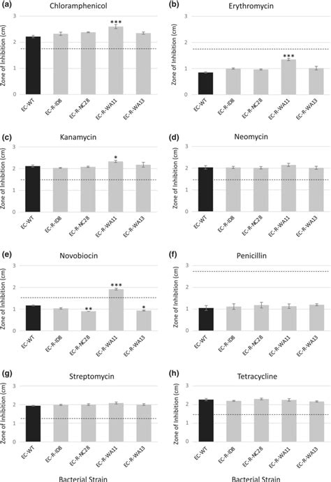 Antibiotic Challenge Against Phage‐resistant Escherichia Coli C Download Scientific Diagram