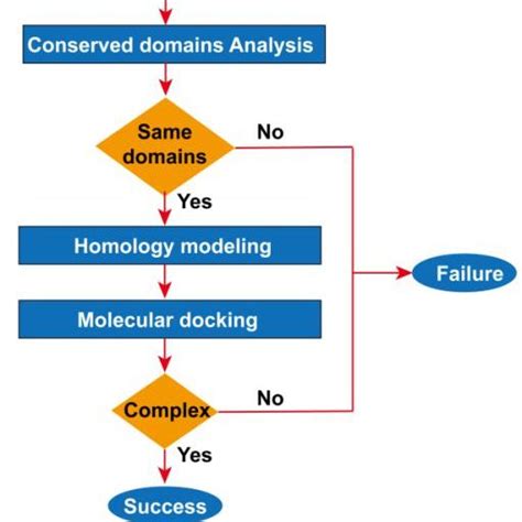 Flow View Of Bioinformatics Analysis Download Scientific Diagram