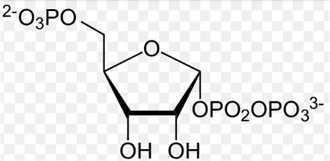 Biochem Final Exam Pt 2 Flashcards Quizlet