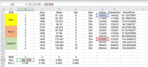 Image J定量分析wb灰度值 哔哩哔哩