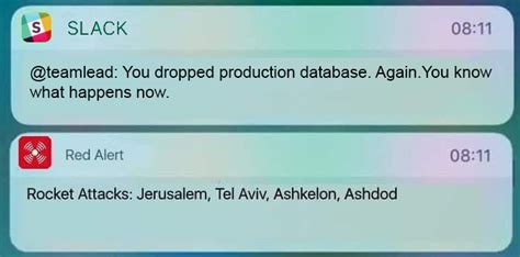 Fixed Duolingo Pic Rprogramminghumor