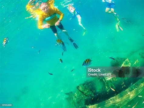 바다 생물과 인공 암초 또는 보트 난파선으로 가득 한 깊은 청록색 바다에서 스노클링을 하는 사람들의 그룹 재미에 대한 스톡 사진 및 기타 이미지 Istock