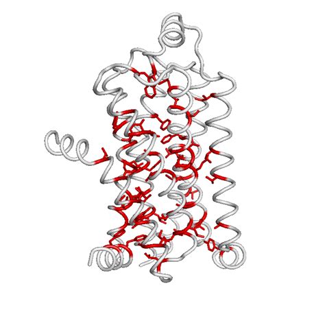 Rip Coupling Analysis