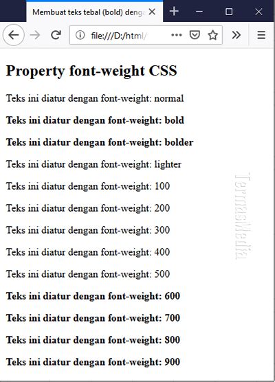 membuat teks tebal bold dengan css