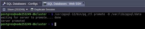 Postgresql Auto Clustering Virtuozzo Dev Docs