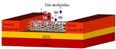 Schematics Of Carbon Nanotube Field Effect Transistor Cntfet Based Download Scientific