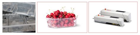 Polypropylene Tray Laser Coding Food Traceability Macsa Id Polypropylene Tray Laser Coding Food Traceability Macsa Id