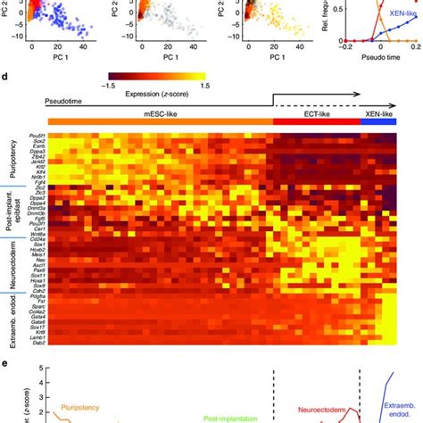 Pseudo Temporal Ordering Of Scrb Seq Data Revealed Gene Expression Download Scientific Diagram