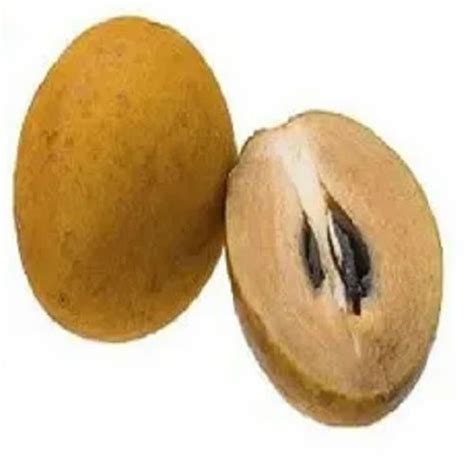 Chikoo Powder Packaging Type Packet Packaging Size 1 Kg At Rs 75kg In New Delhi