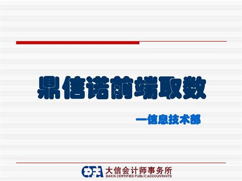 鼎信诺前端取数 文档之家