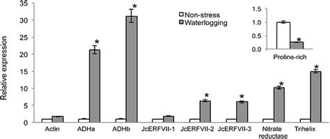 Quantitative Real Time Pcr Validation Of Transcriptome Data For Download Scientific Diagram