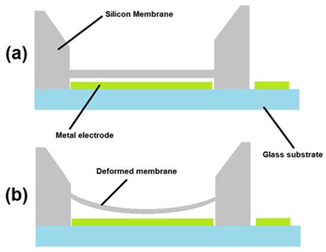 Development Of A Novel Silicon Membrane Mems Capacitive Pressure Sensor For Biological Applications