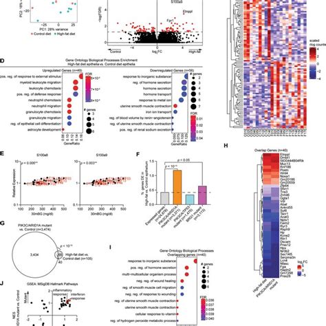 Differential Transcriptome Analysis Of Obese Endometrial Stroma A