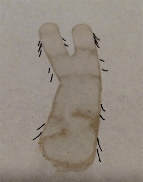 Testing Watercolors On A Scratch Sheet And Tested Coffee I Didnt Like It For What I Was