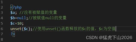 PHPPHP基本语法PHP的数据类型PHP数据的输出 php 输出 猛虎下山2026的博客 CSDN博客