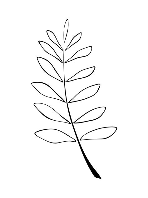 Premium Vector Black And White Contour Illustration Of A Tree Sapling