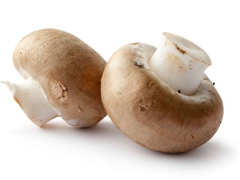 Wild Weird And Delicious The Mushroom Varieties You Should Know