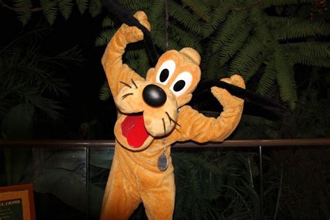 2025s Must See Characters In Epcot A Journey Of Magic