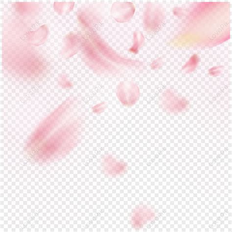 발렌타인 데이 휴일 꽃잎 일러스트 테두리꽃들조명 효과 Png 일러스트 무료 다운로드 Lovepik