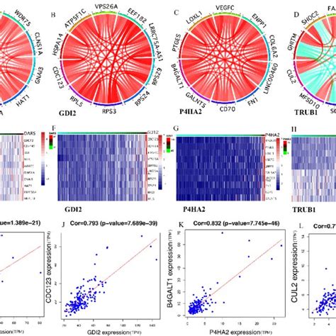 Gene Co Expression A H In The Tcga Dataset Selected The Mrna