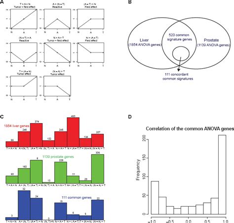 ANOVA Model For Batch I Analysis A Eight Categories Of ANOVA Download Scientific Diagram
