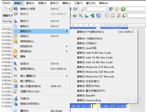 通用shellcode开发原理与实践 知乎