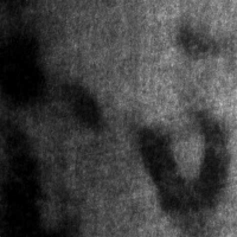 Neu Det V12 Object Detection Dataset And Pre Trained Model By Neudet V12