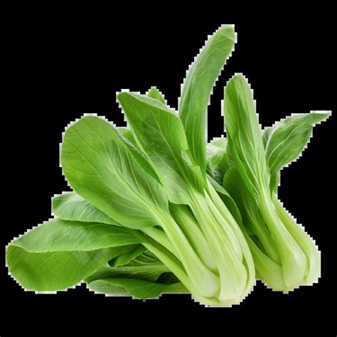 Pak Choi Atado Mercafresh