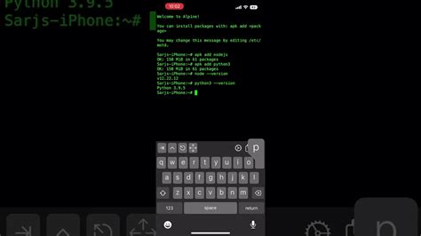 Installing And Running Python3 Nodejs On Ios 16 Using Ish Shell 👌