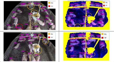 Detection Results For Hadong With Object Detectors 41 Baseline Vs