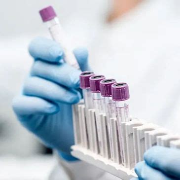 Phoenix Oilfield Services And Engineering Inc Online