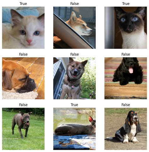 [fast ai] tutorial single label classification juny tech