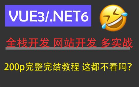 从零手写Vue NET 全栈开发 网站开发多实战已完结 最新录制 NET VUE 前端 开发 网站 完整版已完结B 哔哩哔哩 bilibili