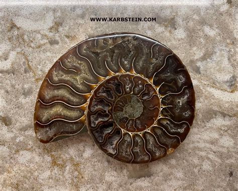 Happy Fibonacci Day The Karbstein Art Gallery