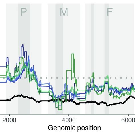 St Nd Base Rd Base In Codon Within Host Polymorphism Green And Download Scientific